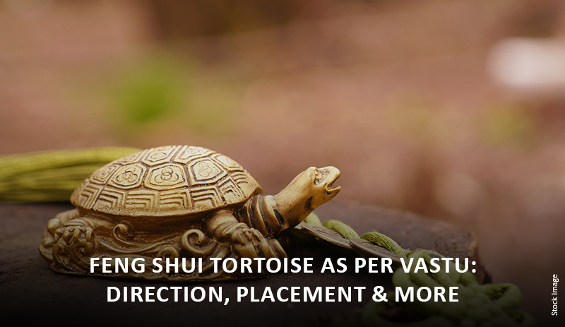 Feng Shui Tortoise as Per Vastu: Direction, Placement & More